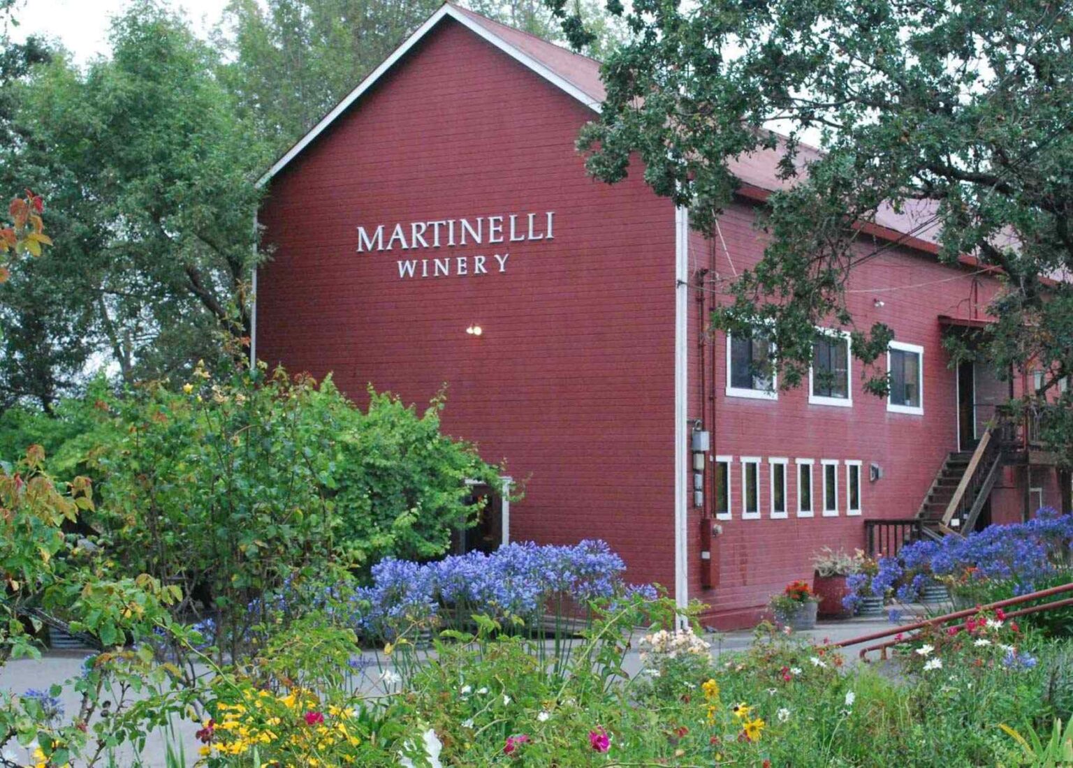 visit - martinelli winery